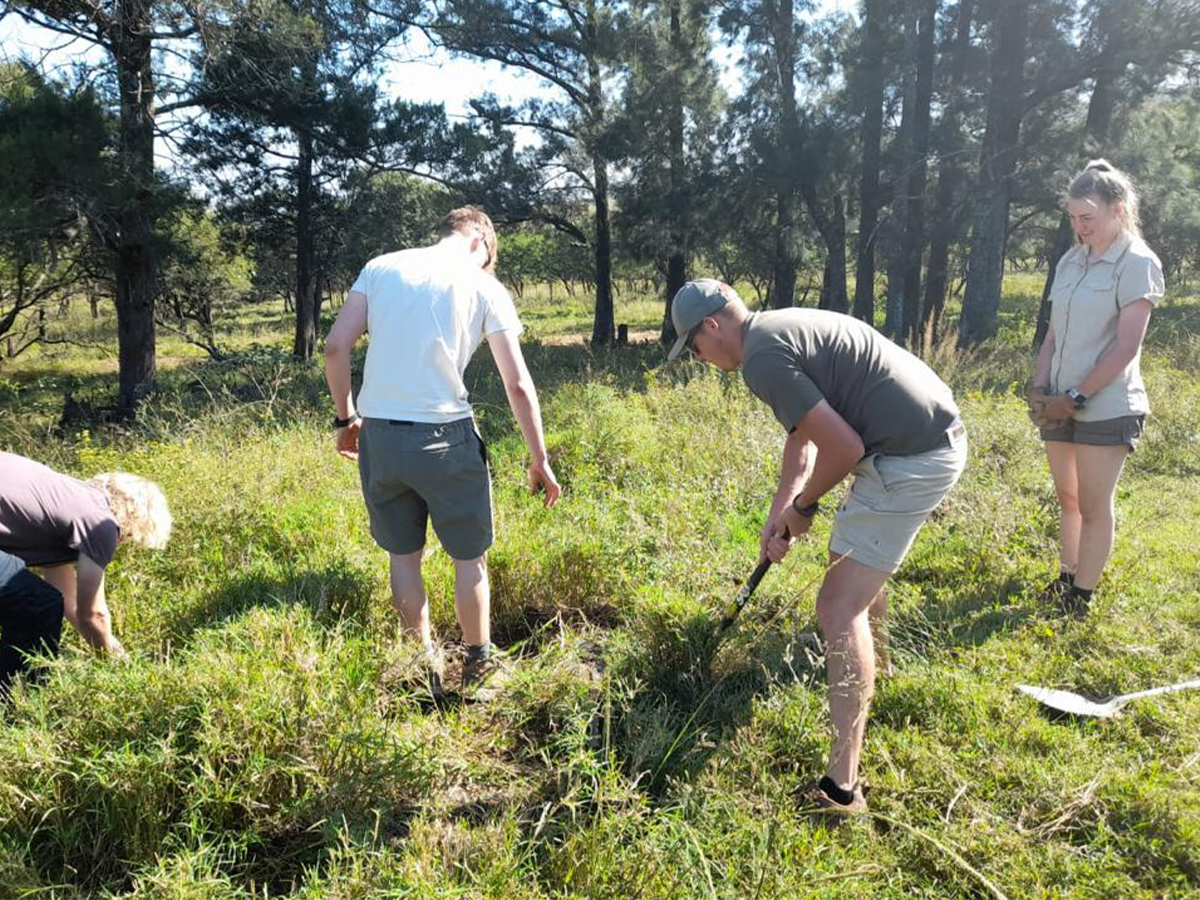 Our Slice of Bush Paradise - UmPhafa