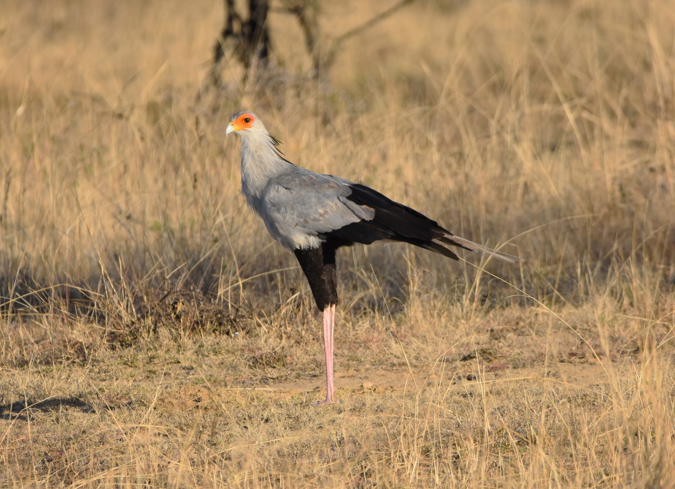 Third Quarter of 2023 - UmPhafa