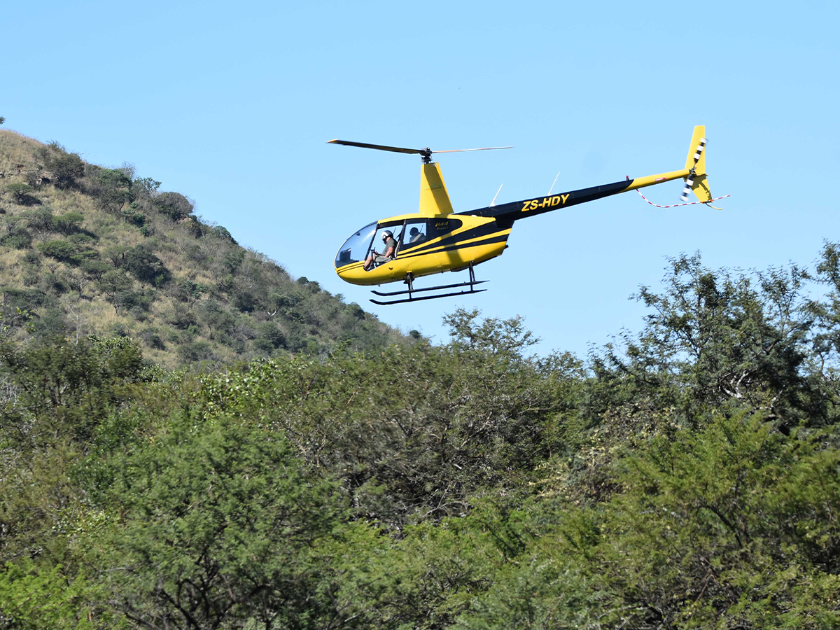 Wildlife on the Move! - UmPhafa