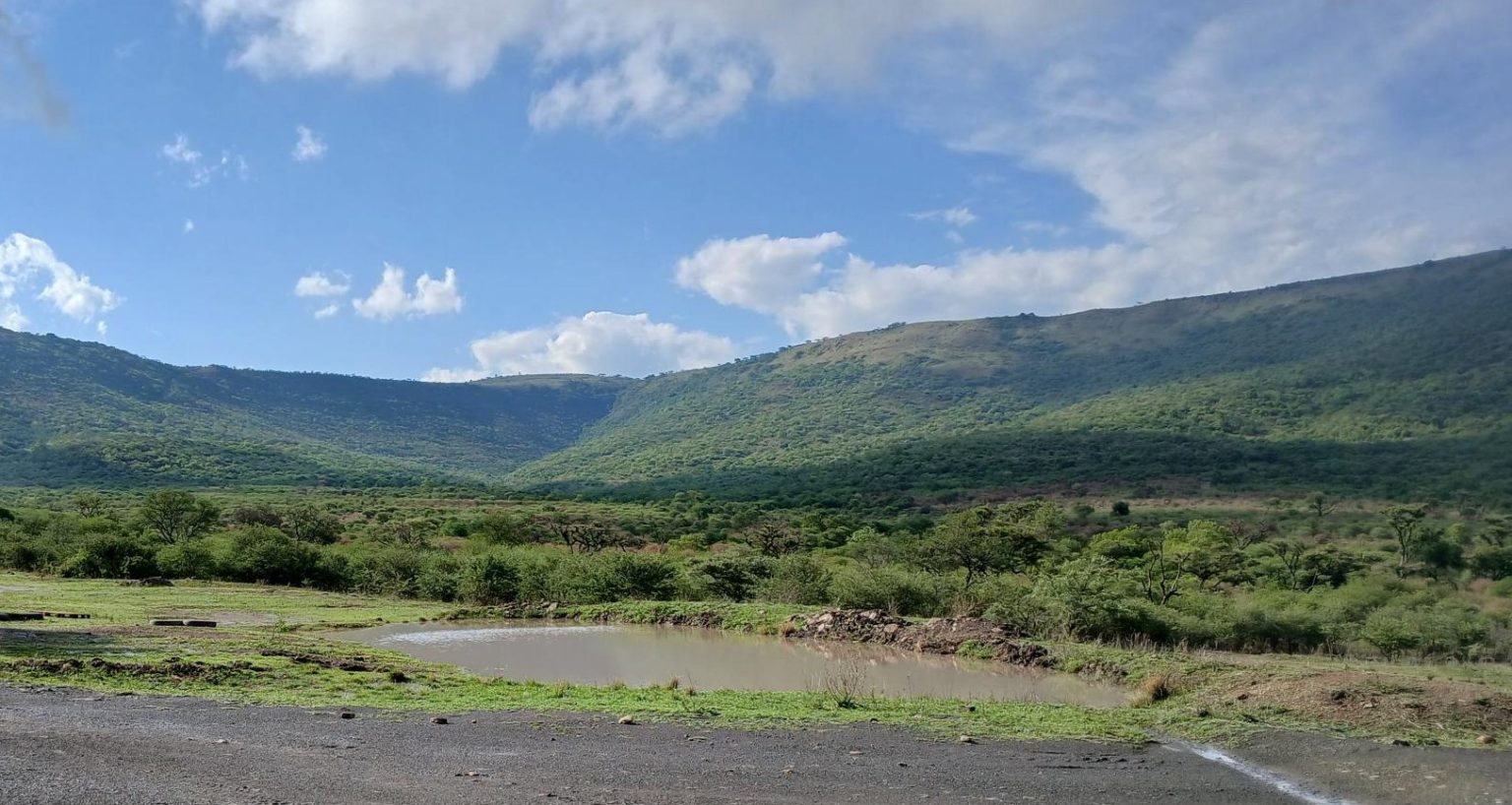The Reserve - UmPhafa