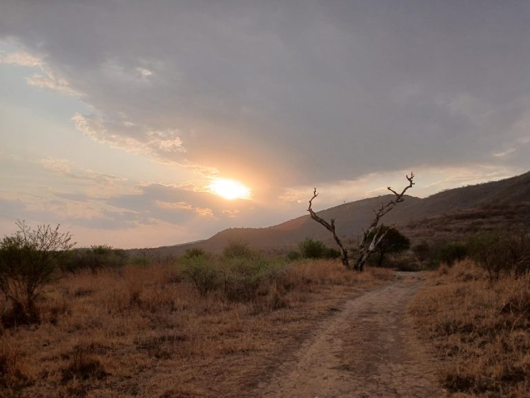 The Reserve - UmPhafa